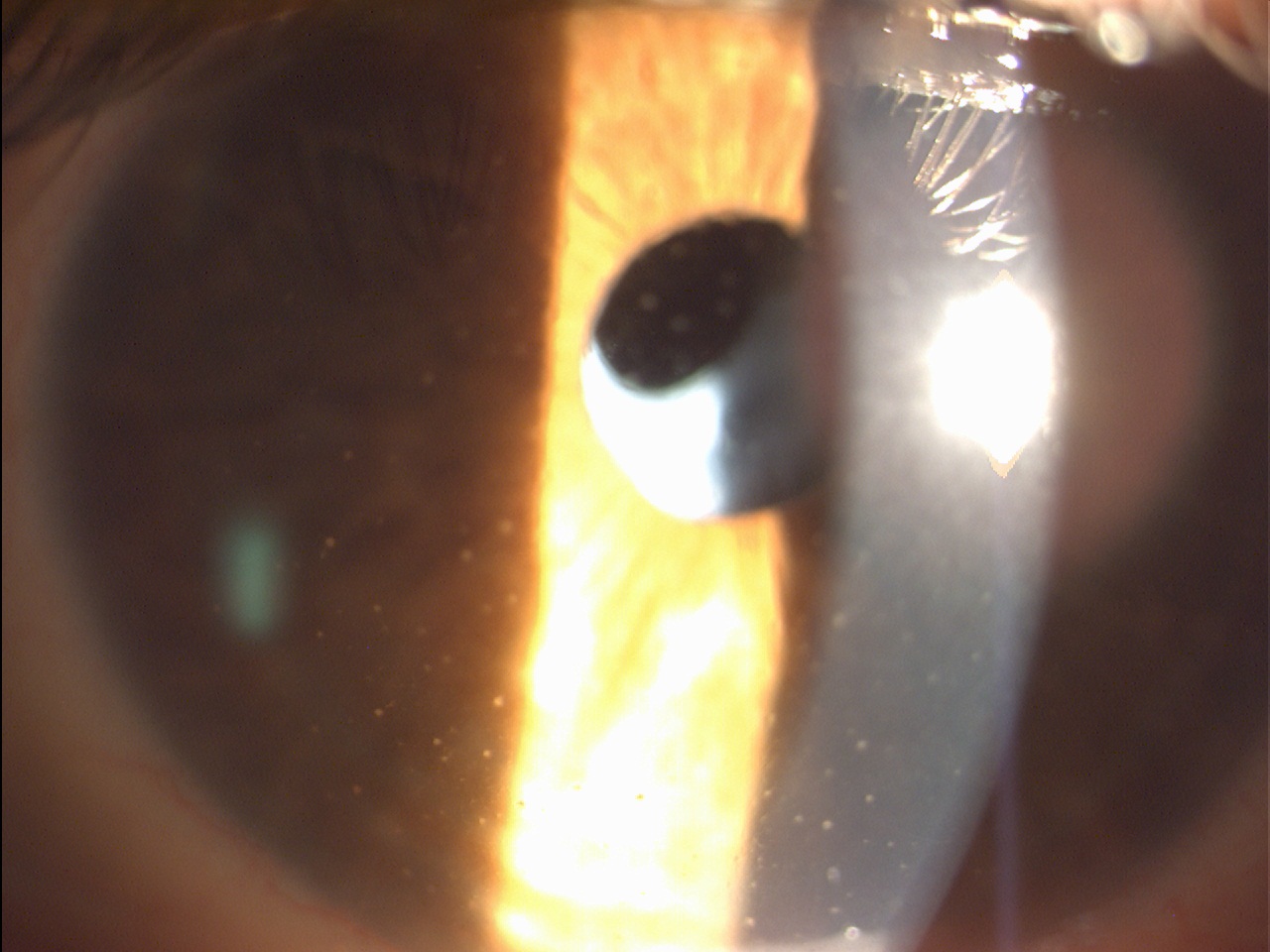 Fotogalerie - VISUS, s.r.o.