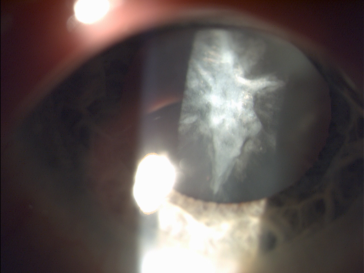 Fotogalerie - VISUS, s.r.o.