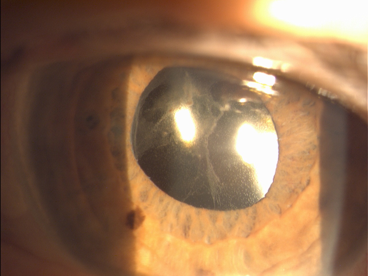 Fotogalerie - VISUS, s.r.o.