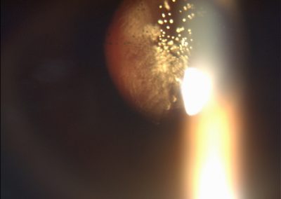 Fotogalerie - VISUS, s.r.o.