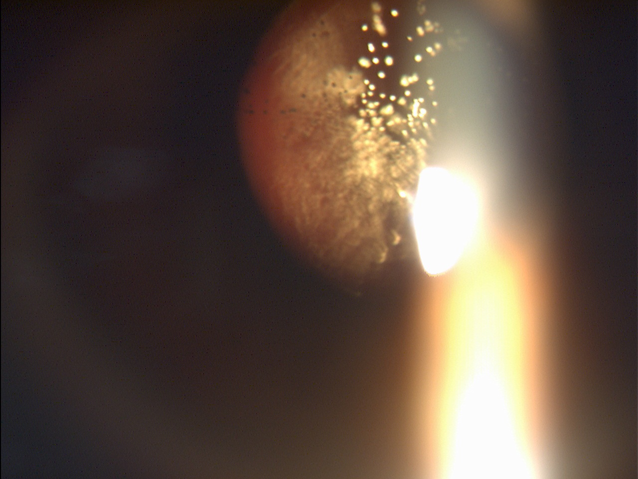 Fotogalerie | VISUS, s.r.o.