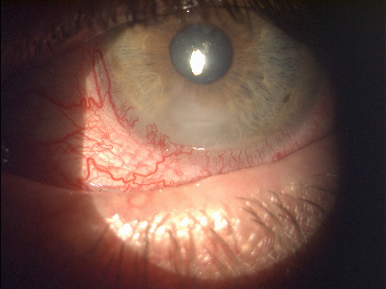 Fotogalerie - VISUS, s.r.o.