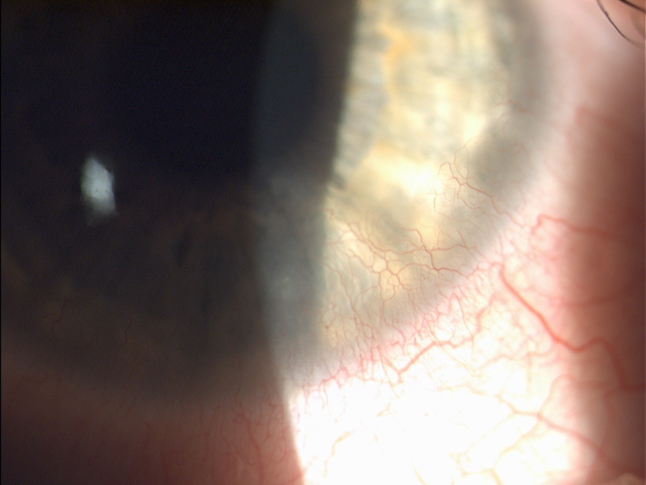 Fotogalerie - VISUS, s.r.o.